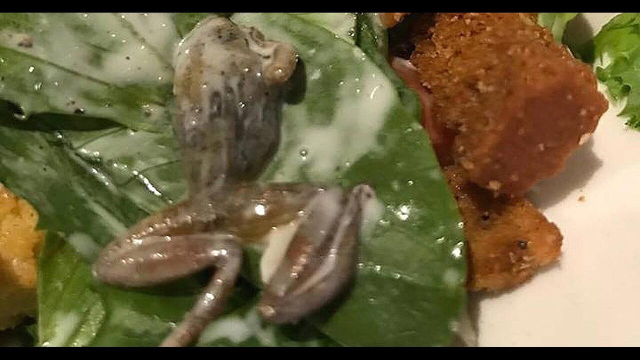 8 Vile Things People Have Found In Their Fast Food Meals